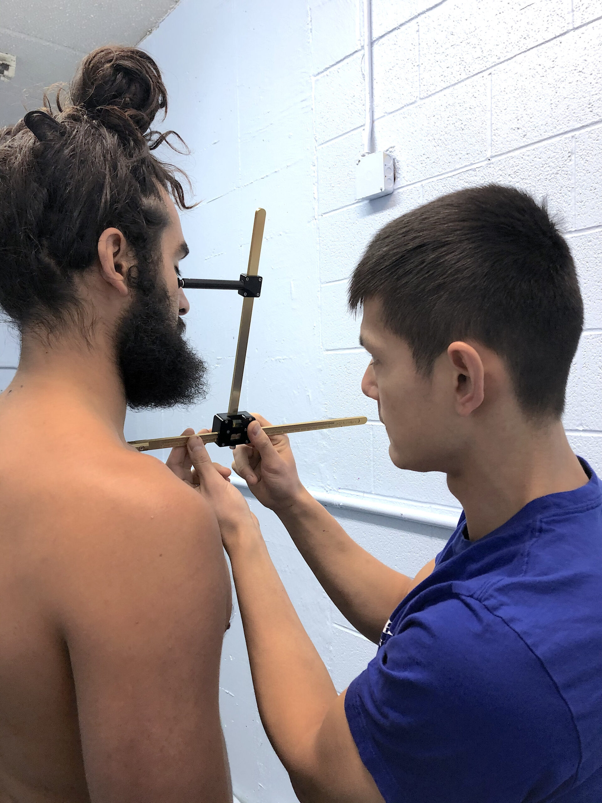 Postural Assessments – TAO Movement